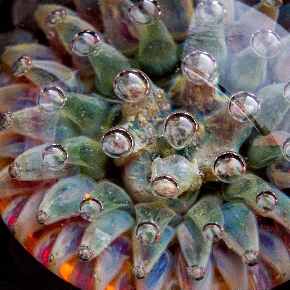 Cremation Marbles - Turn Ashes into Glass